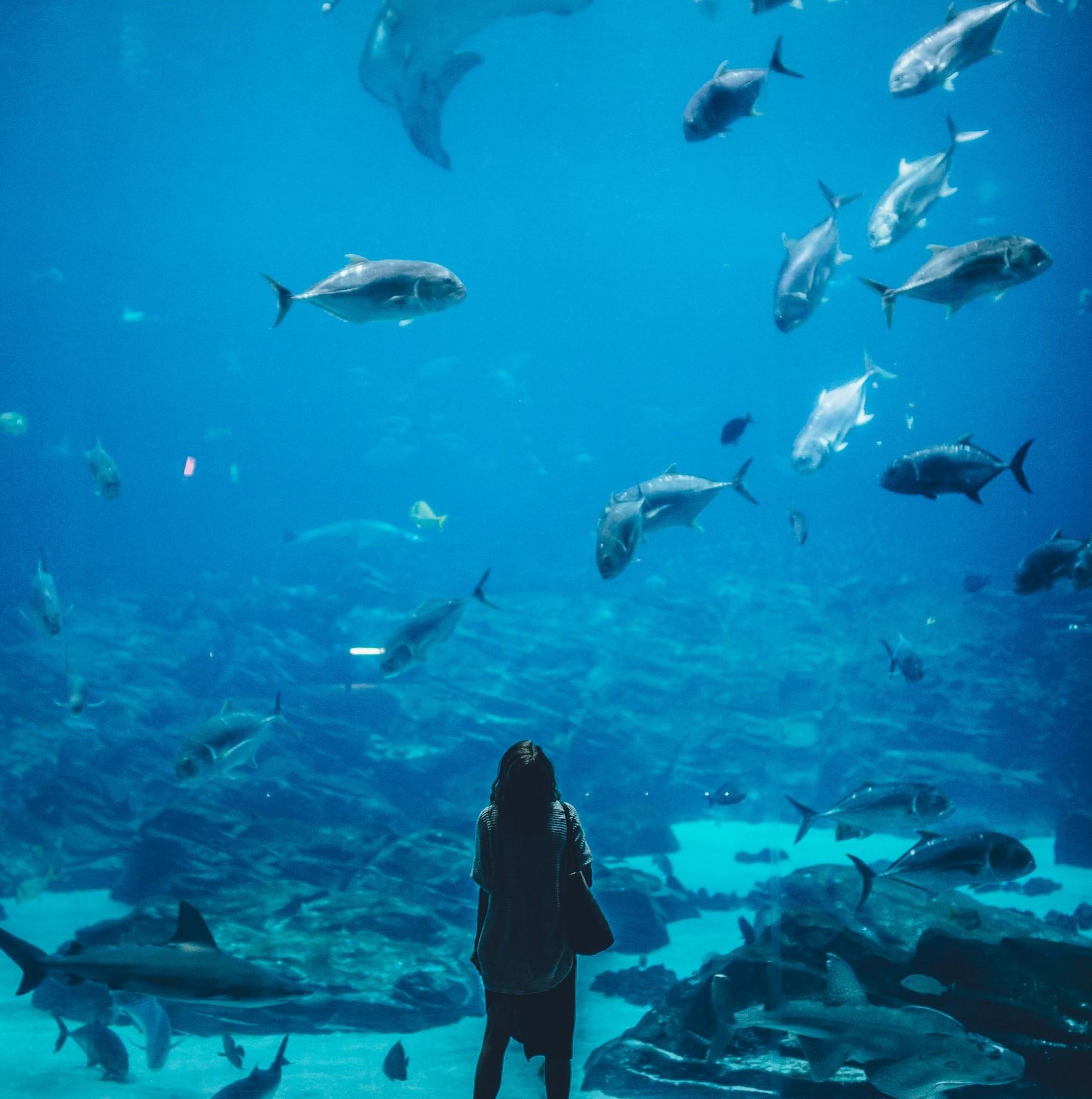Unlocking Language Learning: The Power of Immersion Techniques ...